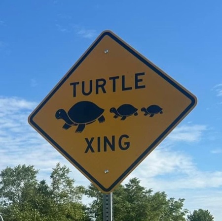 Kane County Connects